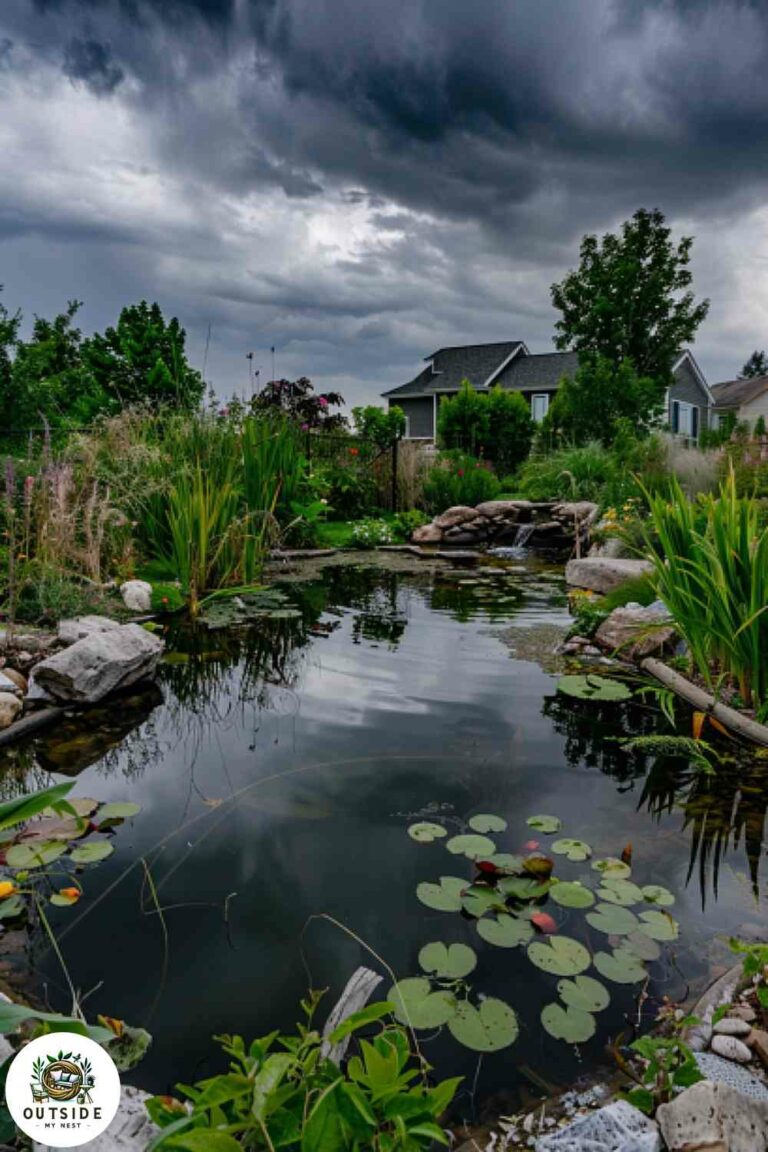 25 Backyard Ponds That’ll Make Your Jaw Drop - Outside My Nest