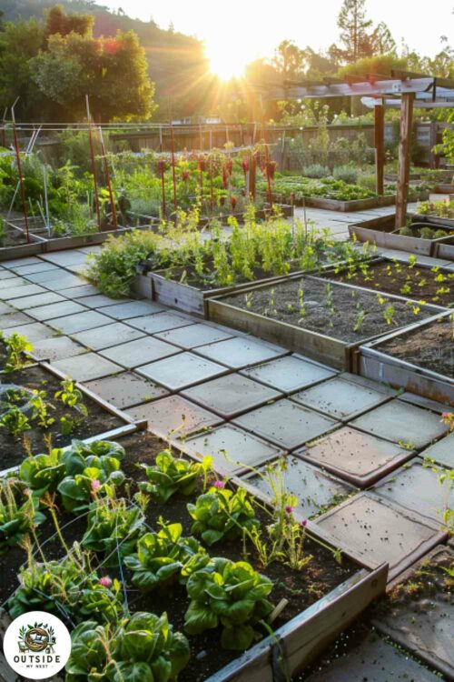 25 Trendy Ways to Do Patio Tiles Over Grass – Outside My Nest