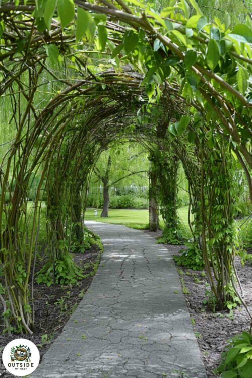 25 Amazing Vertical Trellis for Your Backyard - Outside My Nest